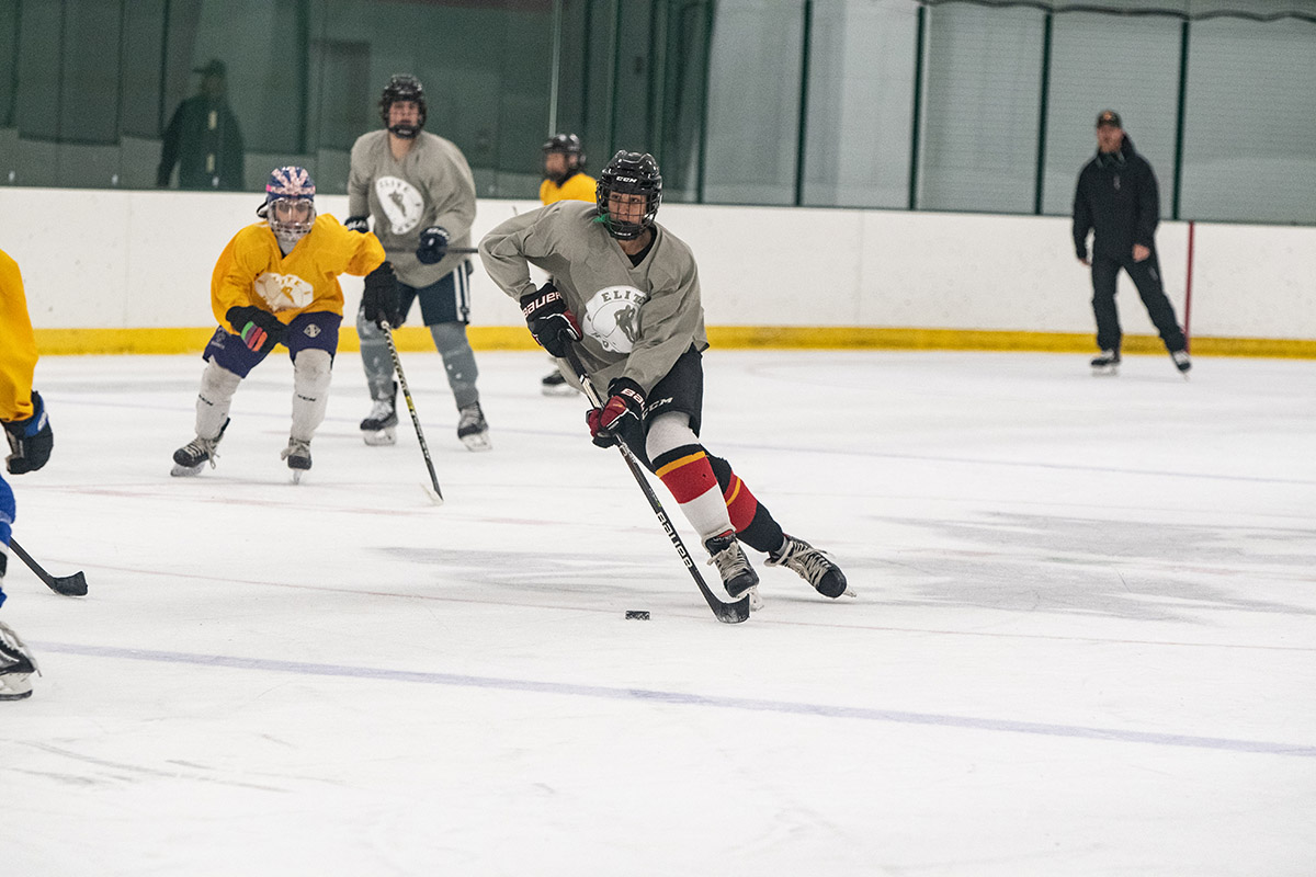 Our Gallery - Elite Hockey Training Center
